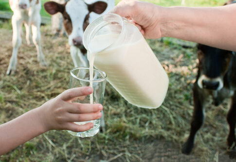 Raw Milk Outbreak Rocks Idaho — 45 Infected | Watch Dog News